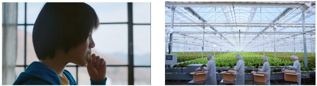 NTT東日本グループ 新CM「ミライはどこから来るの？」NTTアグリテクノロジー篇を1月16日から放送開始 - 農林水産.com